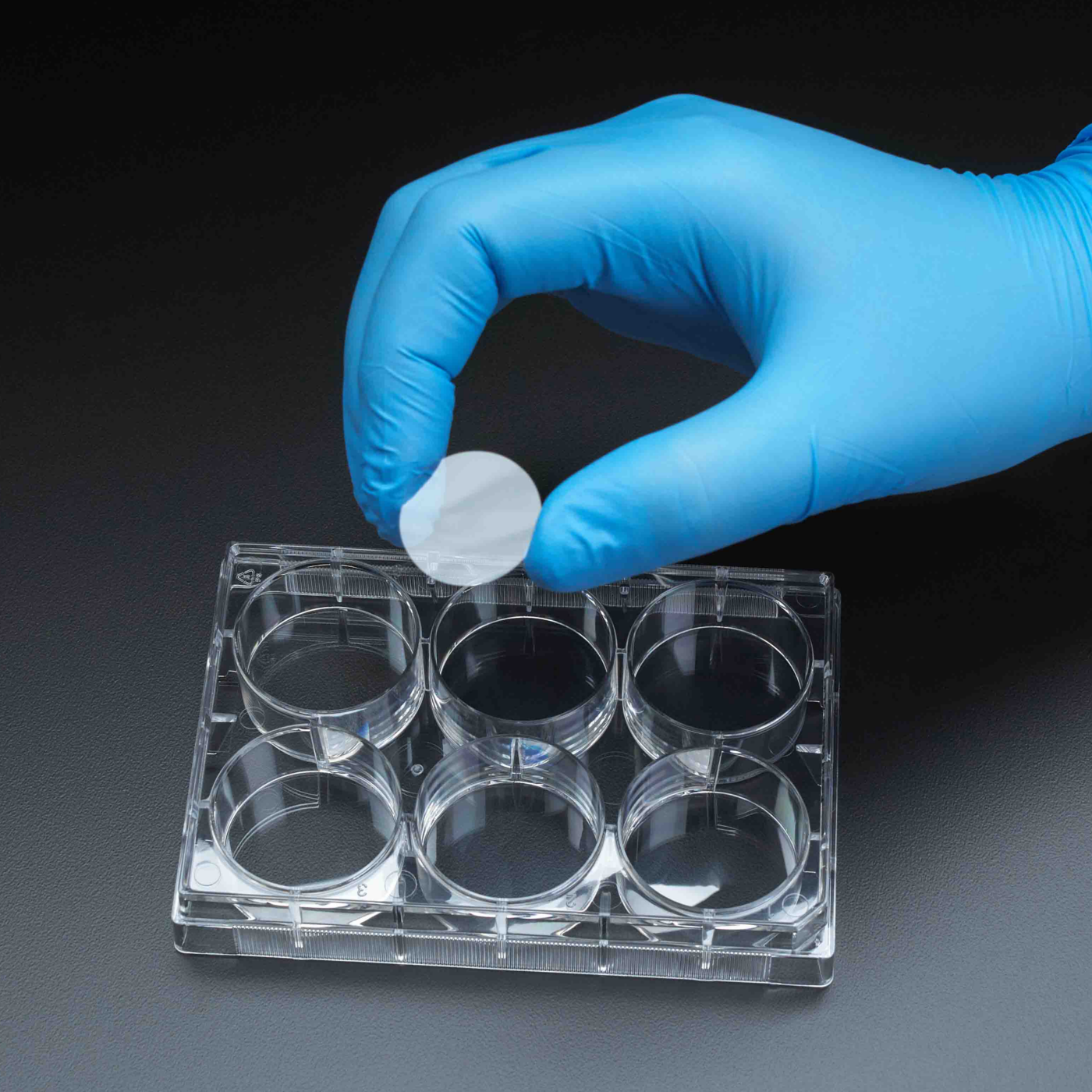 Glass Bottom Culture Products • CELLTREAT Scientific Products