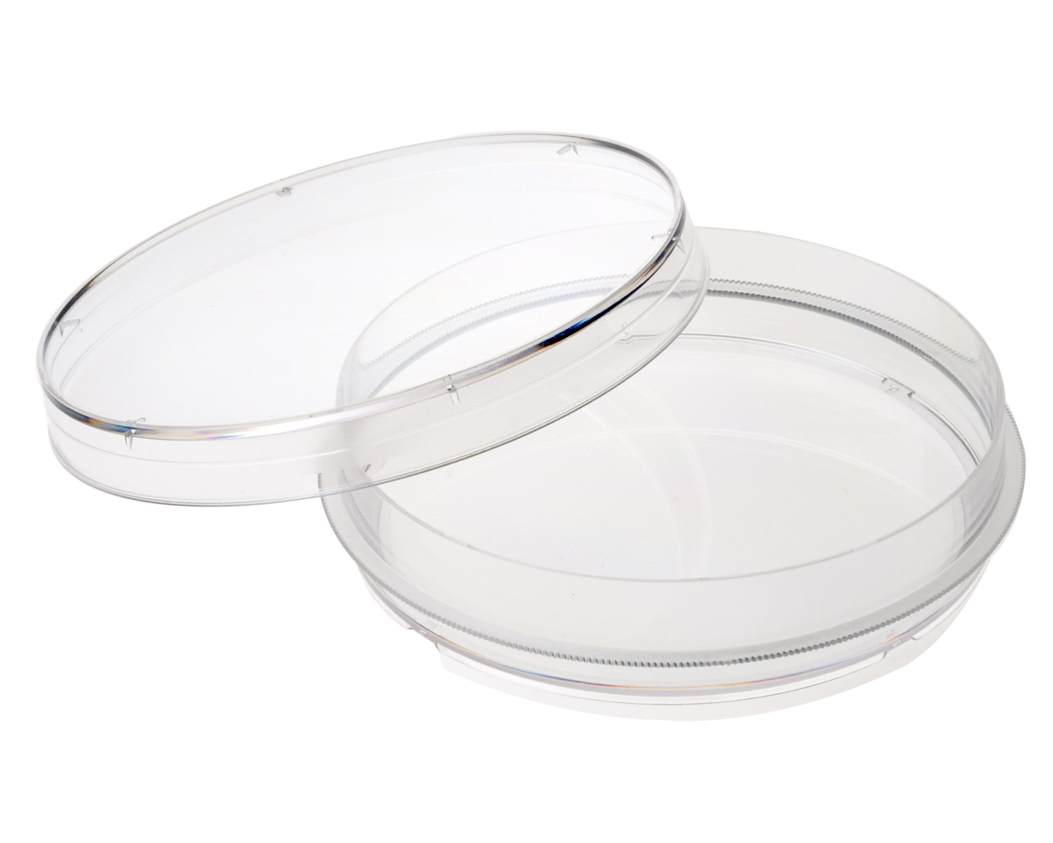 Dishes 229620 CELLTREAT Scientific Products Dishes 229620 CELLTREAT Scientific Products