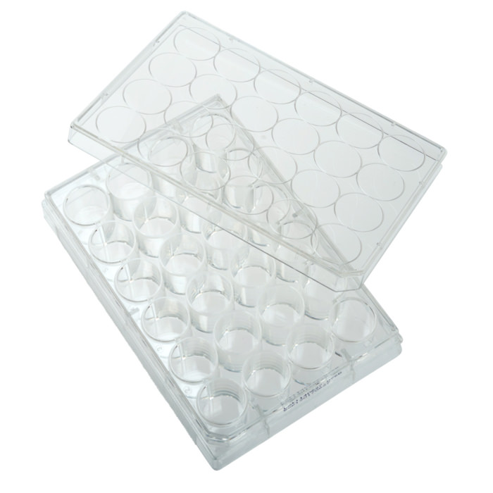 Plates-Permeable Cell Culture Inserts | 230629 • CELLTREAT Scientific ...