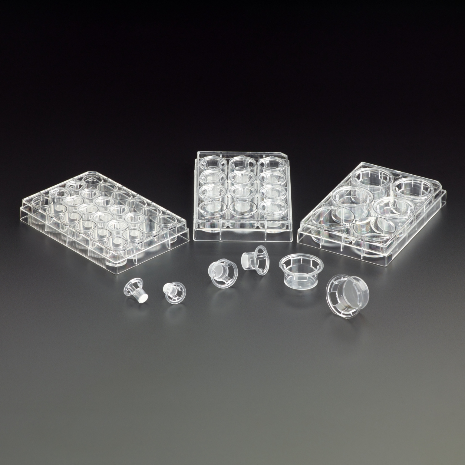 Plates-Permeable Cell Culture Inserts • CELLTREAT Scientific Products